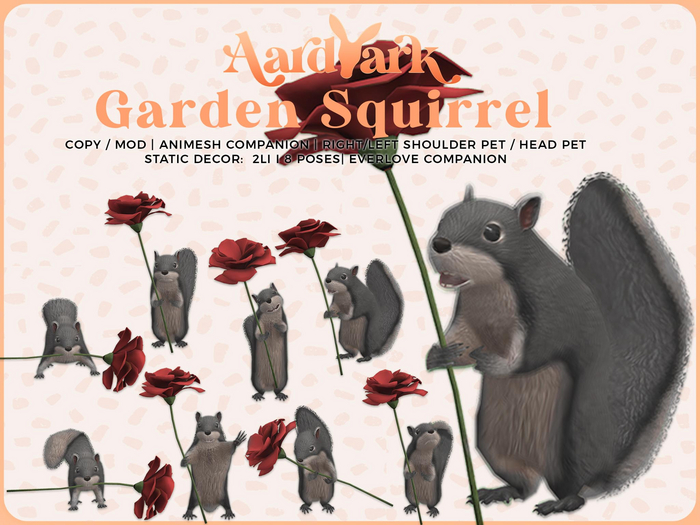 Second Life Marketplace - Aardvark : Garden Squirrel - Tri-color